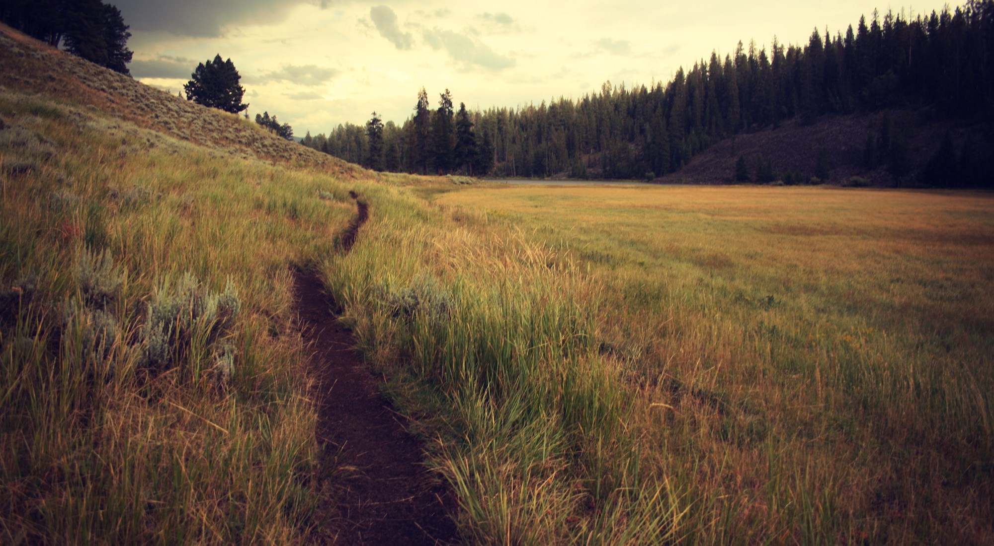 Spiltan Aktiefond Småland - Sparande med Gnosjöanda
